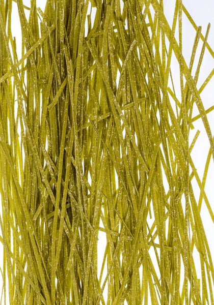 Cipriani Organic Extra thin durum wheat egg Tagliolini pasta ...